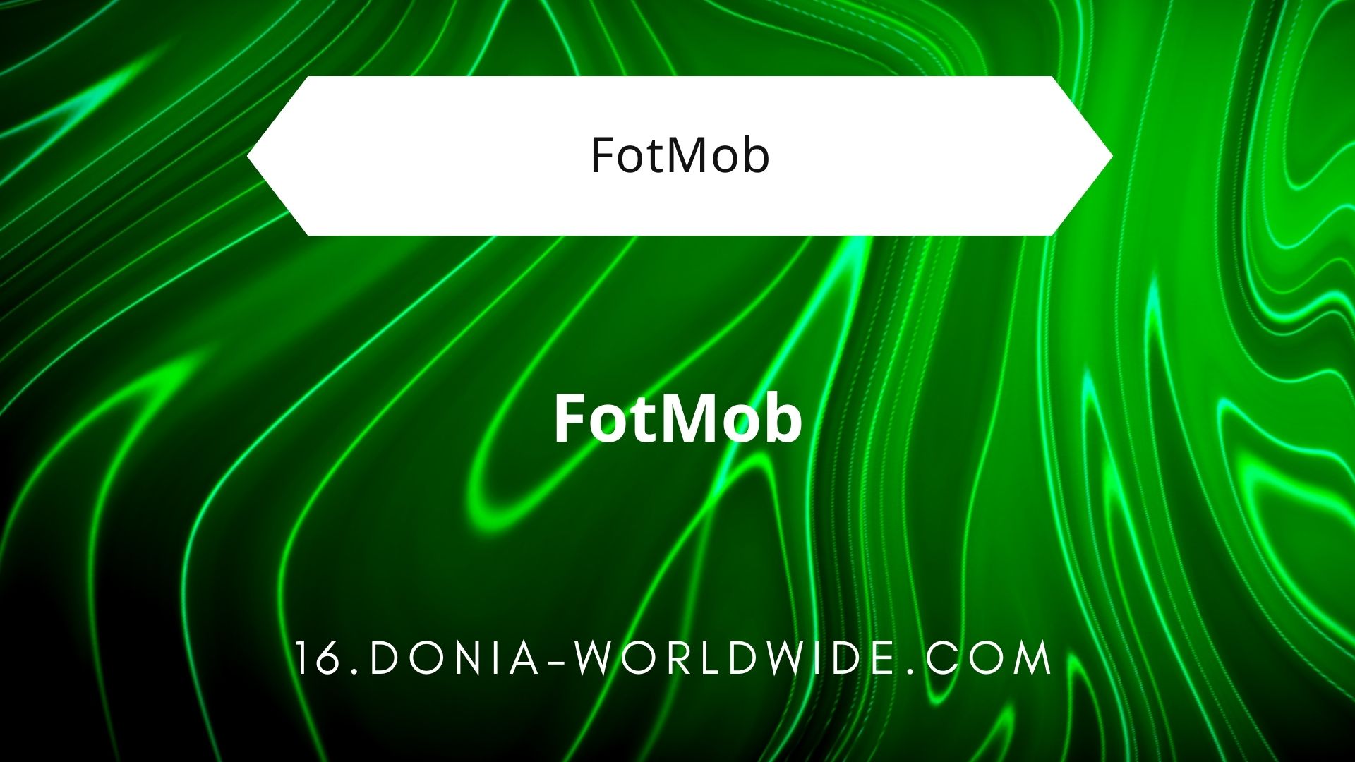 تطبيق FotMob: خيار ممتاز لكل عاشق رياضة كرة القدم – 16.worldwide.com